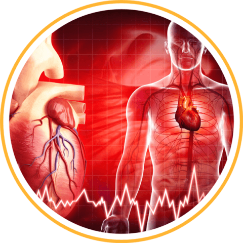LabDx | Effective Lab Analysis Tool For Functional Medicine