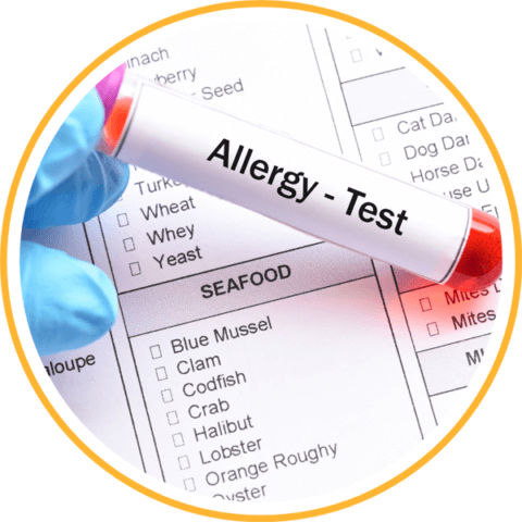 LabDx | Effective Lab Analysis Tool For Functional Medicine