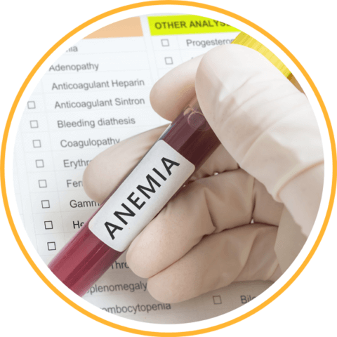 LabDx | Effective Lab Analysis Tool For Functional Medicine