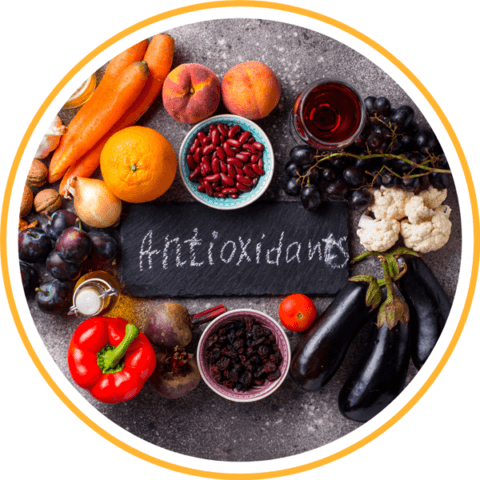 LabDx | Effective Lab Analysis Tool For Functional Medicine