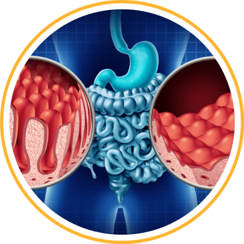 LabDx | Effective Lab Analysis Tool For Functional Medicine