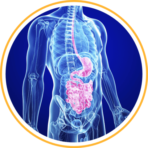 LabDx | Effective Lab Analysis Tool For Functional Medicine