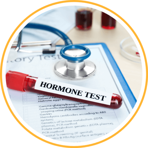LabDx | Effective Lab Analysis Tool For Functional Medicine