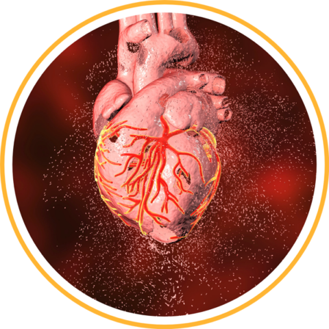 LabDx | Effective Lab Analysis Tool For Functional Medicine