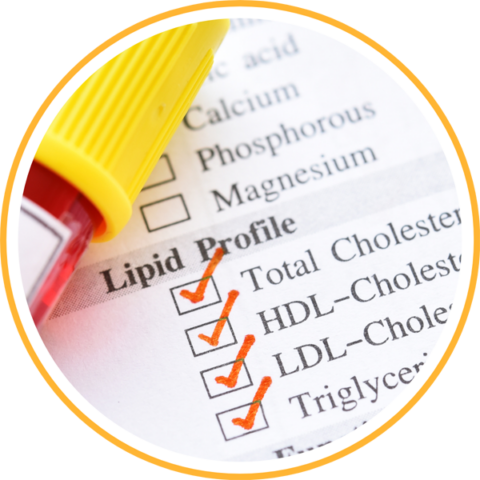 LabDx | Effective Lab Analysis Tool For Functional Medicine