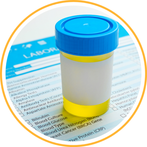 LabDx | Effective Lab Analysis Tool For Functional Medicine