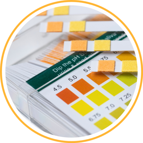 LabDx | Effective Lab Analysis Tool For Functional Medicine