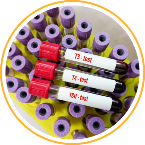 LabDx | Effective Lab Analysis Tool For Functional Medicine