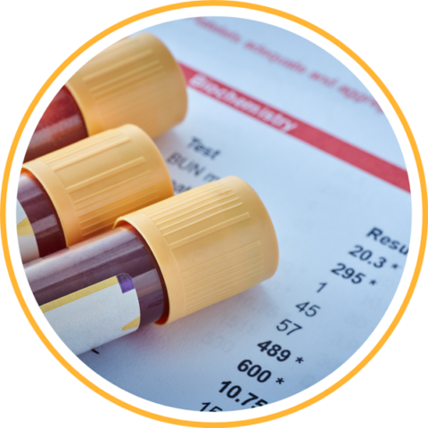 LabDx | Effective Lab Analysis Tool For Functional Medicine