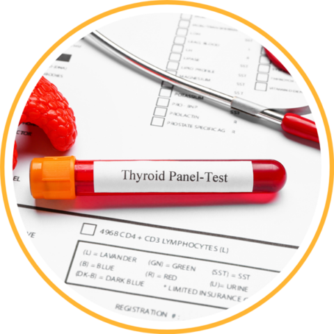LabDx | Effective Lab Analysis Tool For Functional Medicine