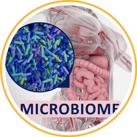 LabDx | Effective Lab Analysis Tool For Functional Medicine
