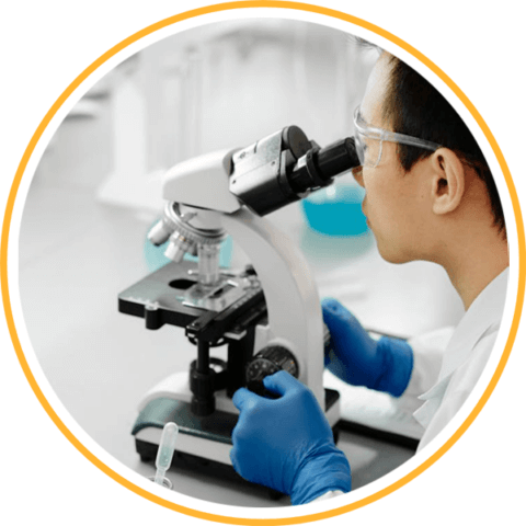 LabDx | Effective Lab Analysis Tool For Functional Medicine